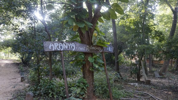D. Saravanan and Aranya Forest and Sanctuary | AUP Sustainable ...