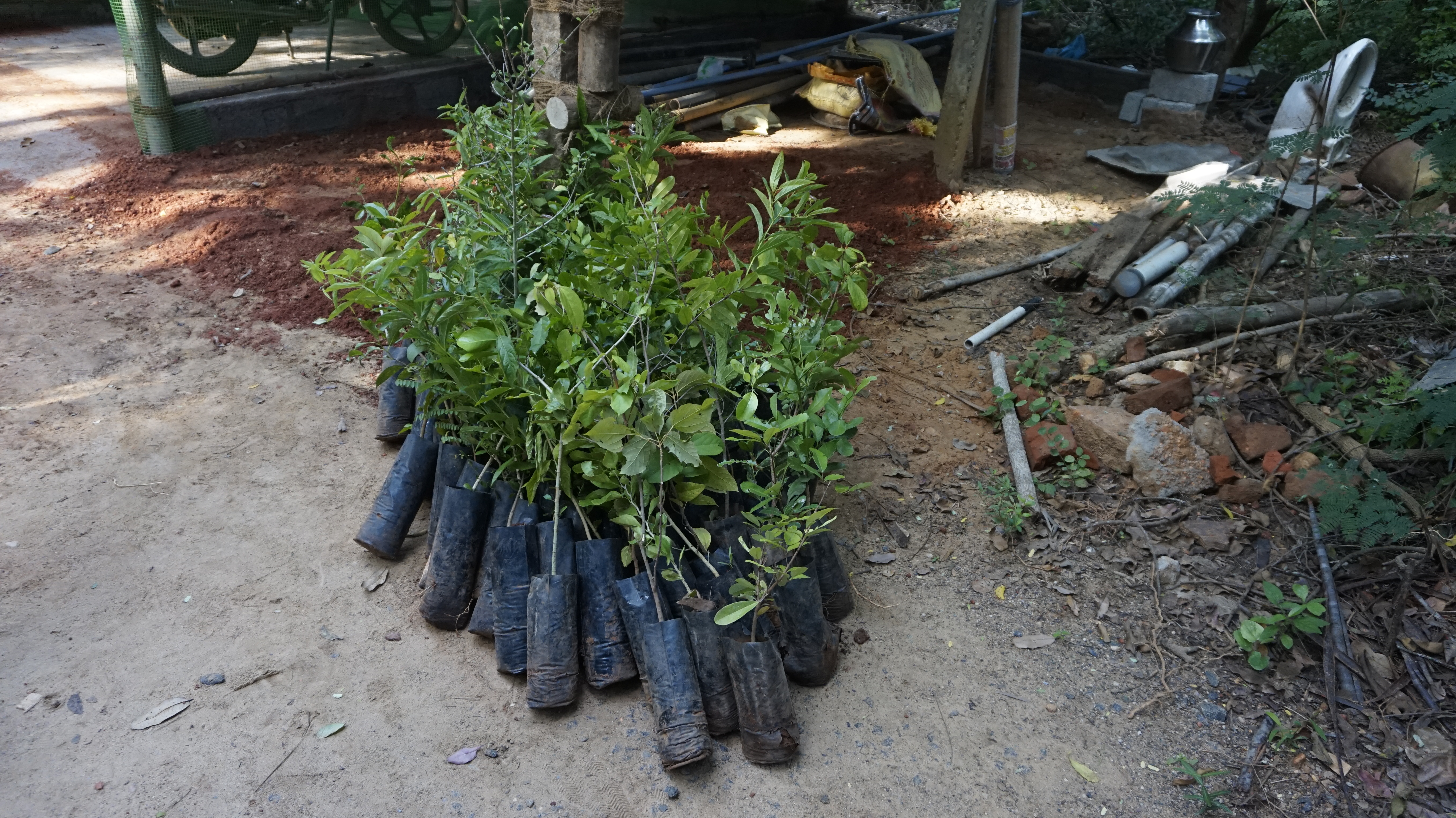 D. Saravanan and Aranya Forest and Sanctuary | AUP Sustainable ...